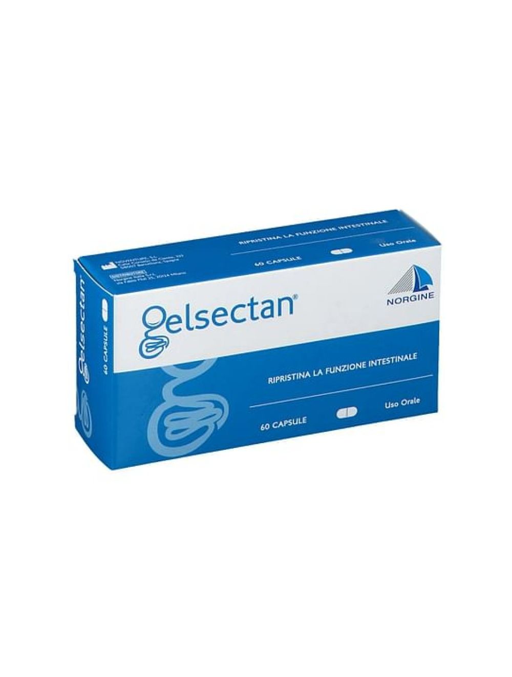 GELSECTAN 60 CAPSULE | FarmaHome